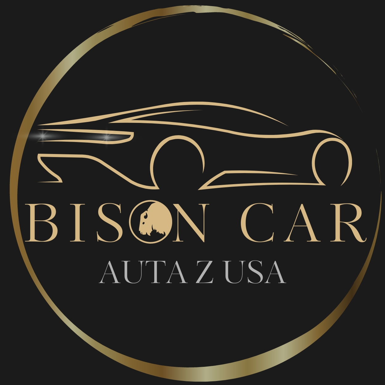 BISONCAR – Import i Licytacje Aut z USA Olsztyn, Warmia i Mazury